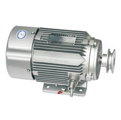 Explosion Proof Motor